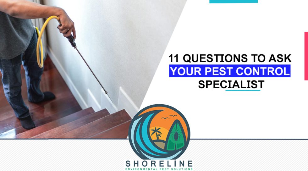 11 Questions You Need to Ask Your Pest Control Specialist to Get the ...