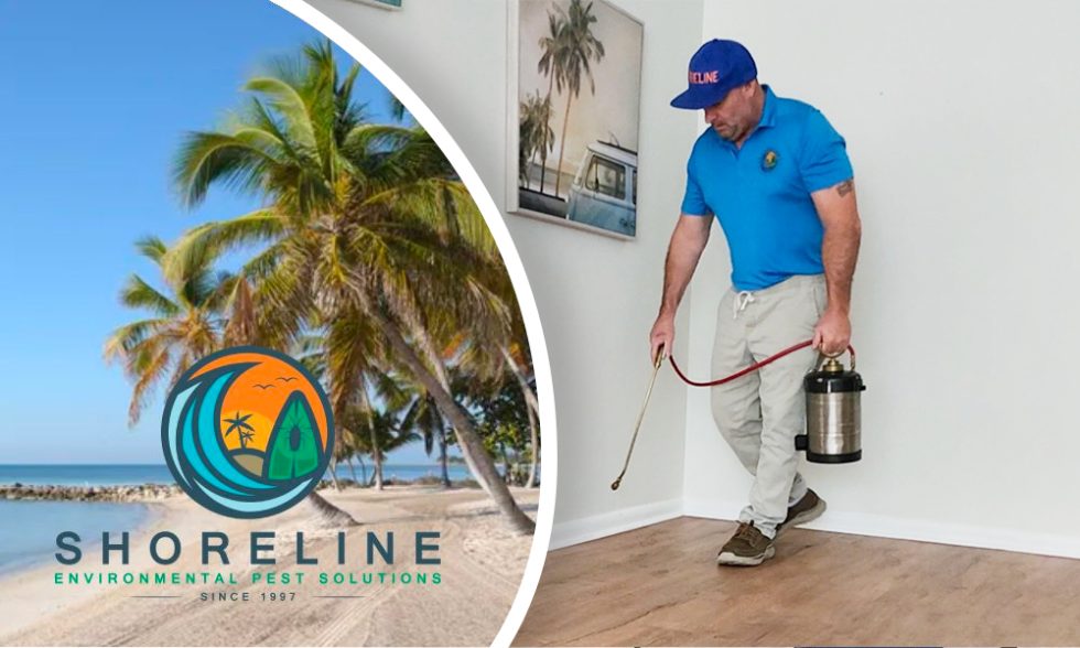 #1 Pest Control Services West Palm Beach | - Shoreline Pest Solutions