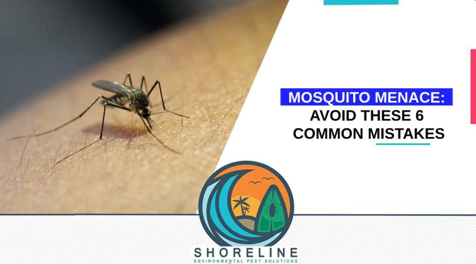 6 Common Mistakes to Avoid When Dealing with Mosquitoes - Shoreline ...